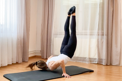 fish roll - Burner Motion